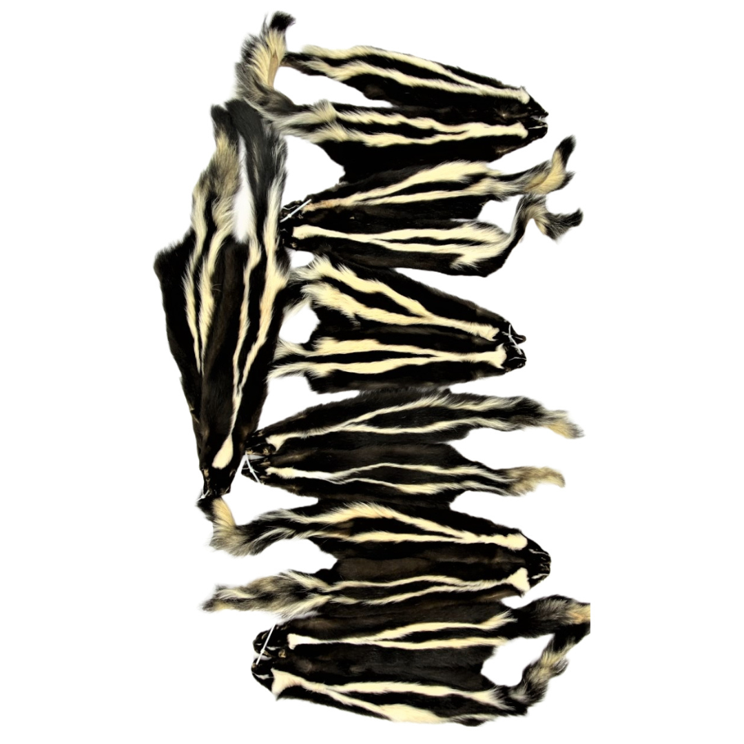 Skunk Pairs - 3XL - 2XL - Matched Skins – The Canadian Coyote Company Ltd.