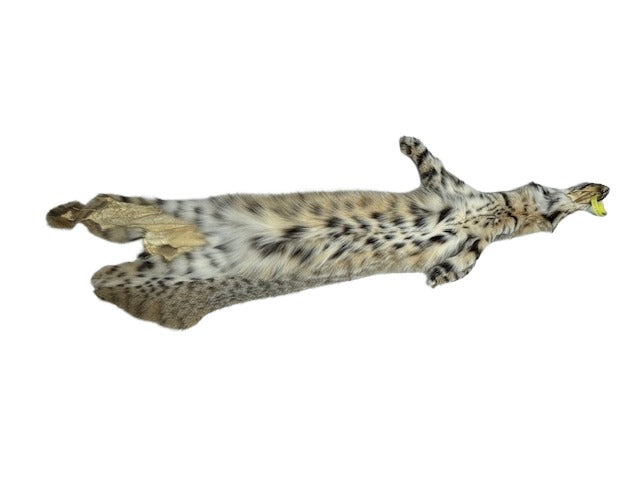 Bobcat XL Western Heavy XL - Skin #D – The Canadian Coyote Company Ltd.