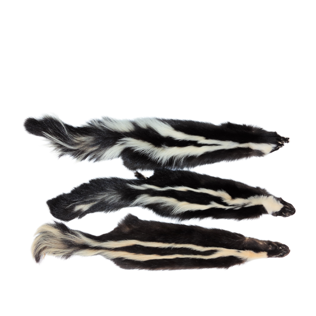 Skunks -3XL-2X, XL-LG Good Quality – The Canadian Coyote Company Ltd.