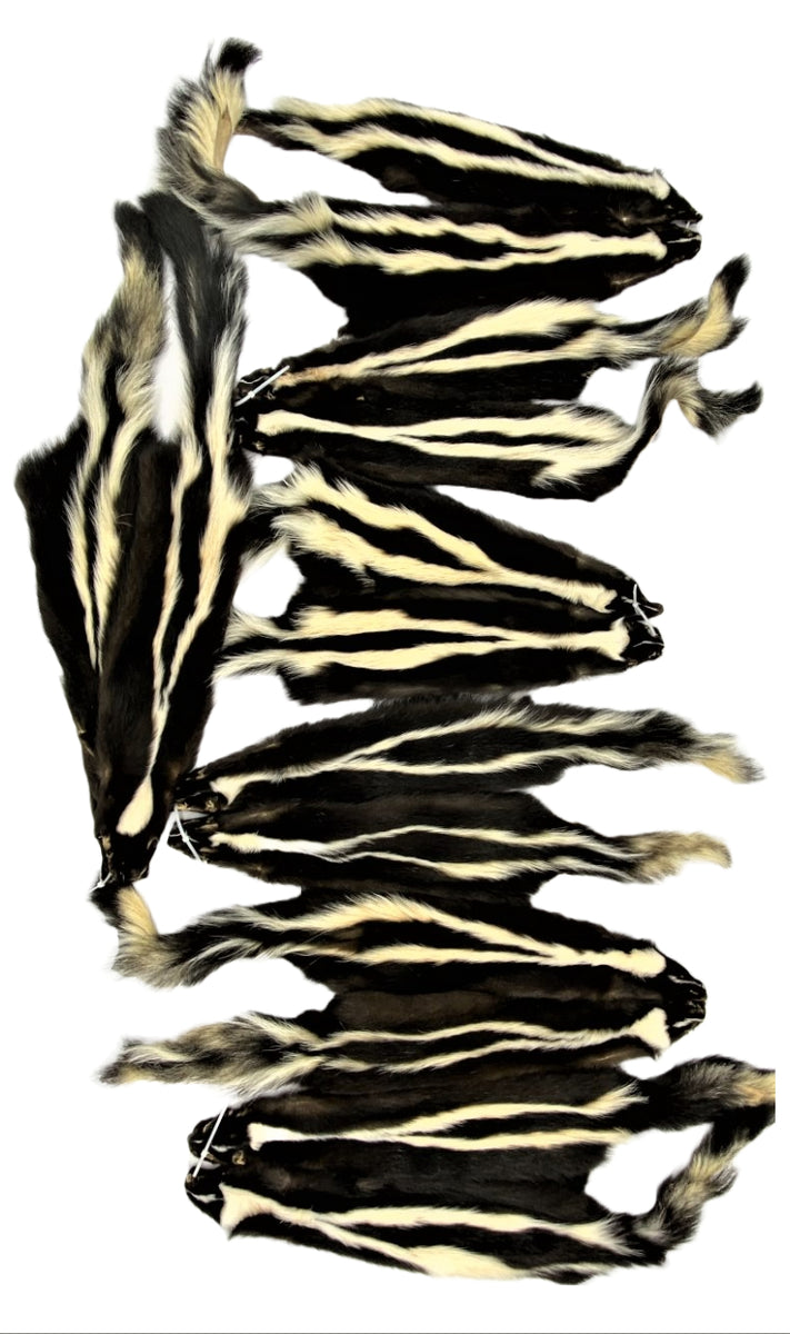 Skunk Pairs - 3XL - 2XL - Matched Skins – The Canadian Coyote Company Ltd.